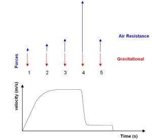 Newton's Laws at Nat 5